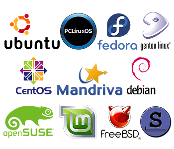 Germany XEN Windows VPS - Instant setup forextrade XEN VPS. - Leased Layer